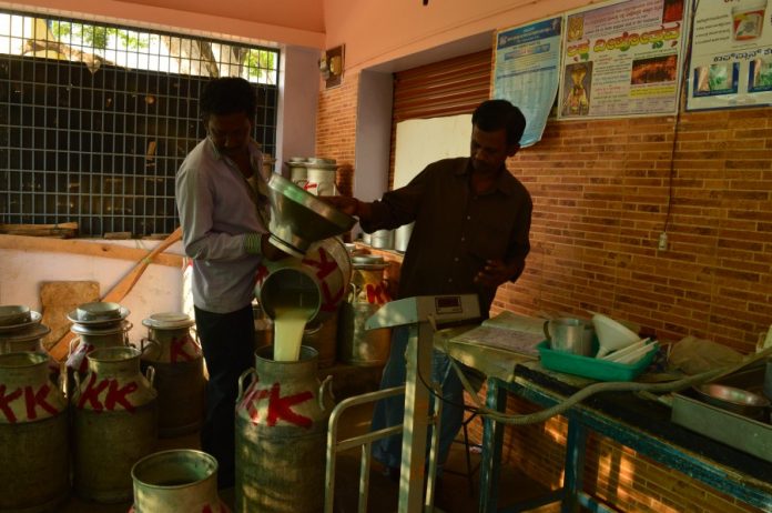 Water-starved Kolar, Chikkaballapur farmers start a white revolution ...