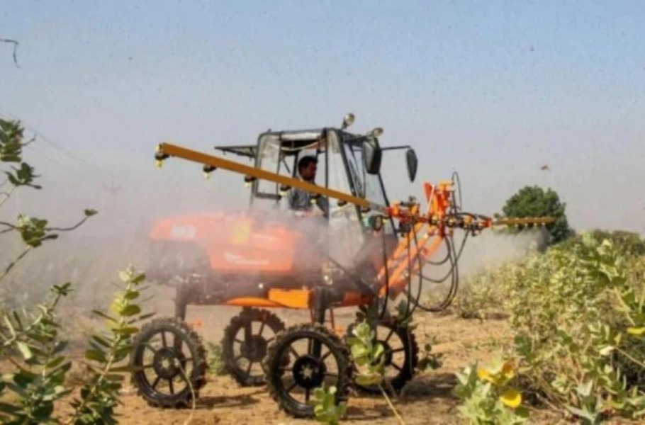 Locust attacks went out of control as COVID-19 diverted Iran's ...