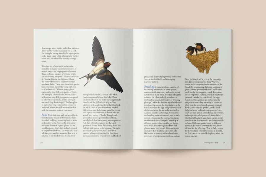 New book for educators teaches children to become budding birders