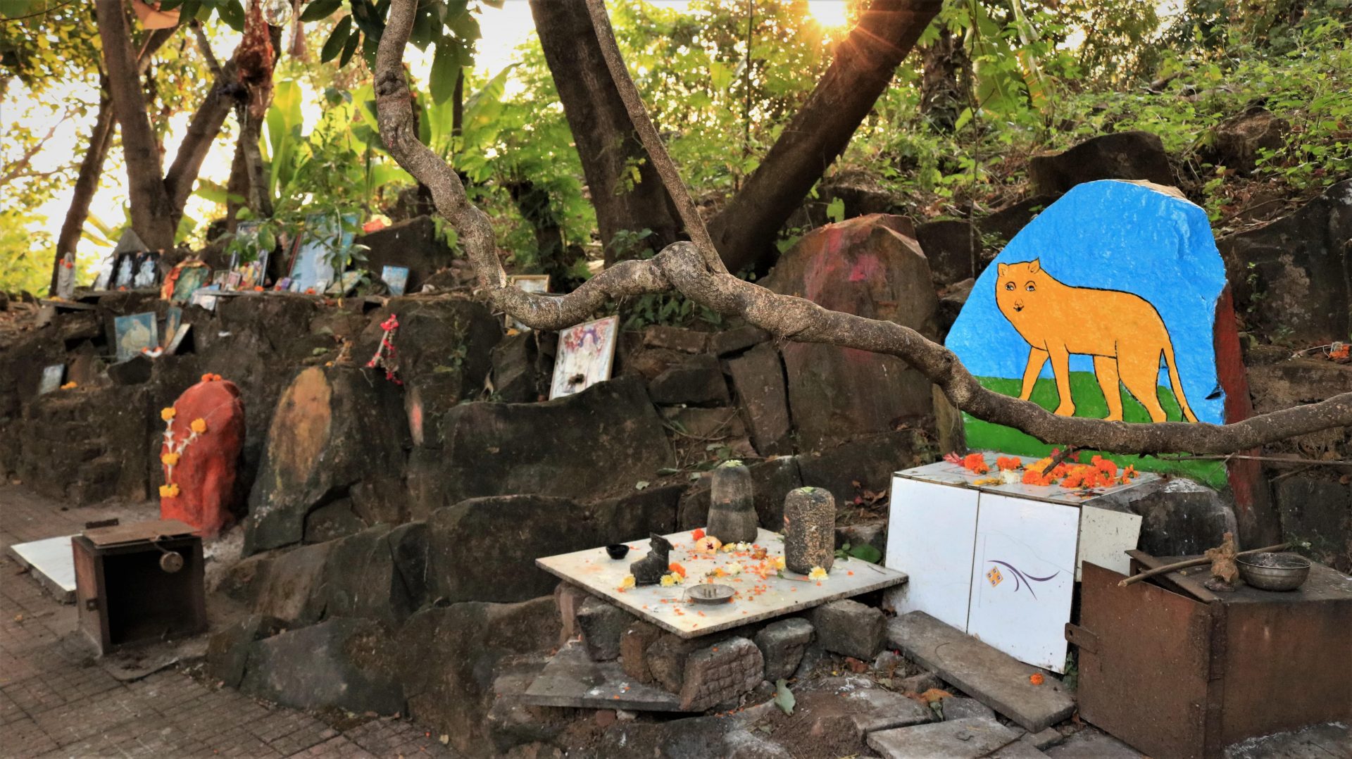 Maharashtra tribals believe ‘Waghoba’ is their saviour against animal ...