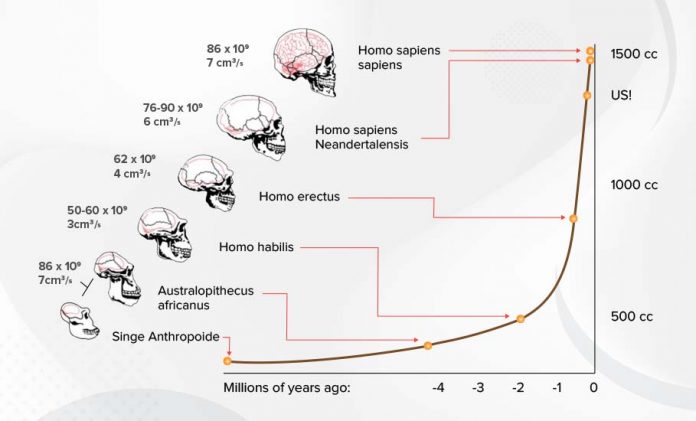 The human brain is shrinking and you didn’t know because...