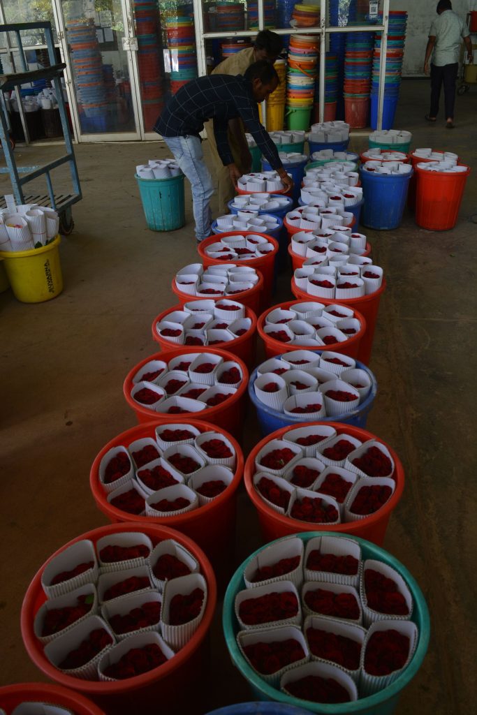 After two hard years, business looks rosy again for flower industry