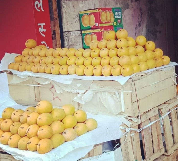 Season begins: Here are the top 10 mango varieties in India