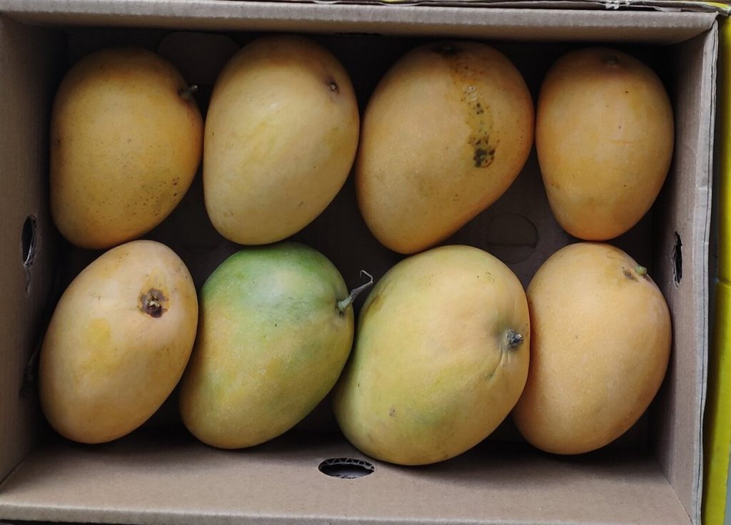 Season begins: Here are the top 10 mango varieties in India