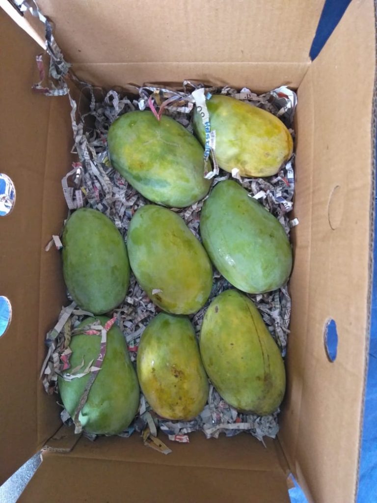 Season begins: Here are the top 10 mango varieties in India