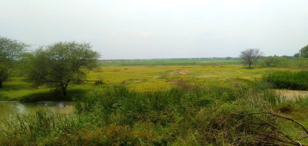 Parandur airport: Villagers vexed over land loss, reduced guideline ...