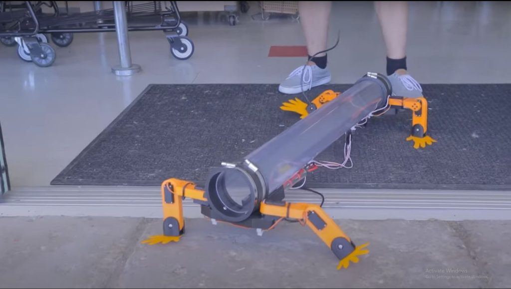 A YouTuber provides ‘legs’ to a snake, internet laps it up - The Federal