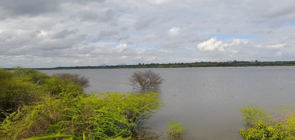 Encroachments eat into Bengaluru’s Hesaraghatta grasslands, imperil ...