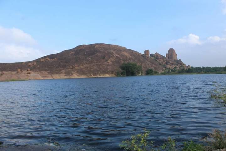 How the laggar falcon helped TN's Arittapatti get Biodiversity Heritage ...