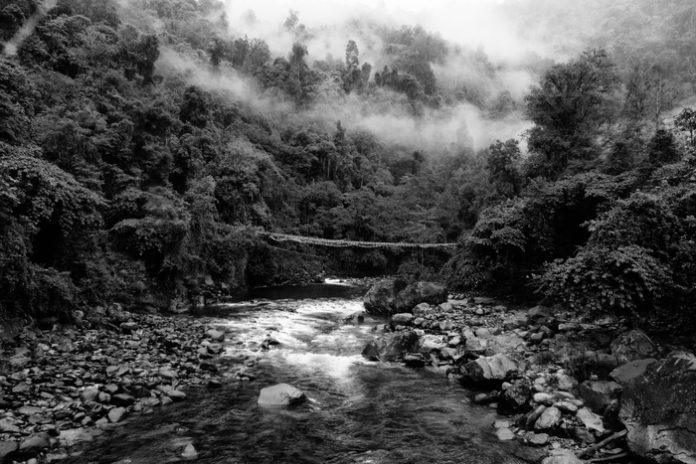 Marginlands review: How India has brought its landscapes to the brink ...