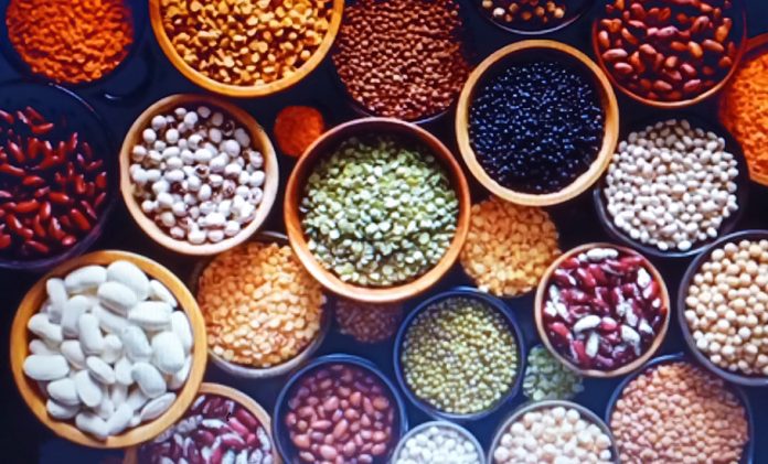 What was on the menu of people in the Indus Valley Civilization