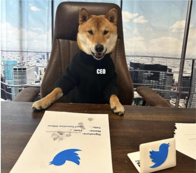 Doge replaces Twitter bird: What is Dogecoin and why Musk changed the ...