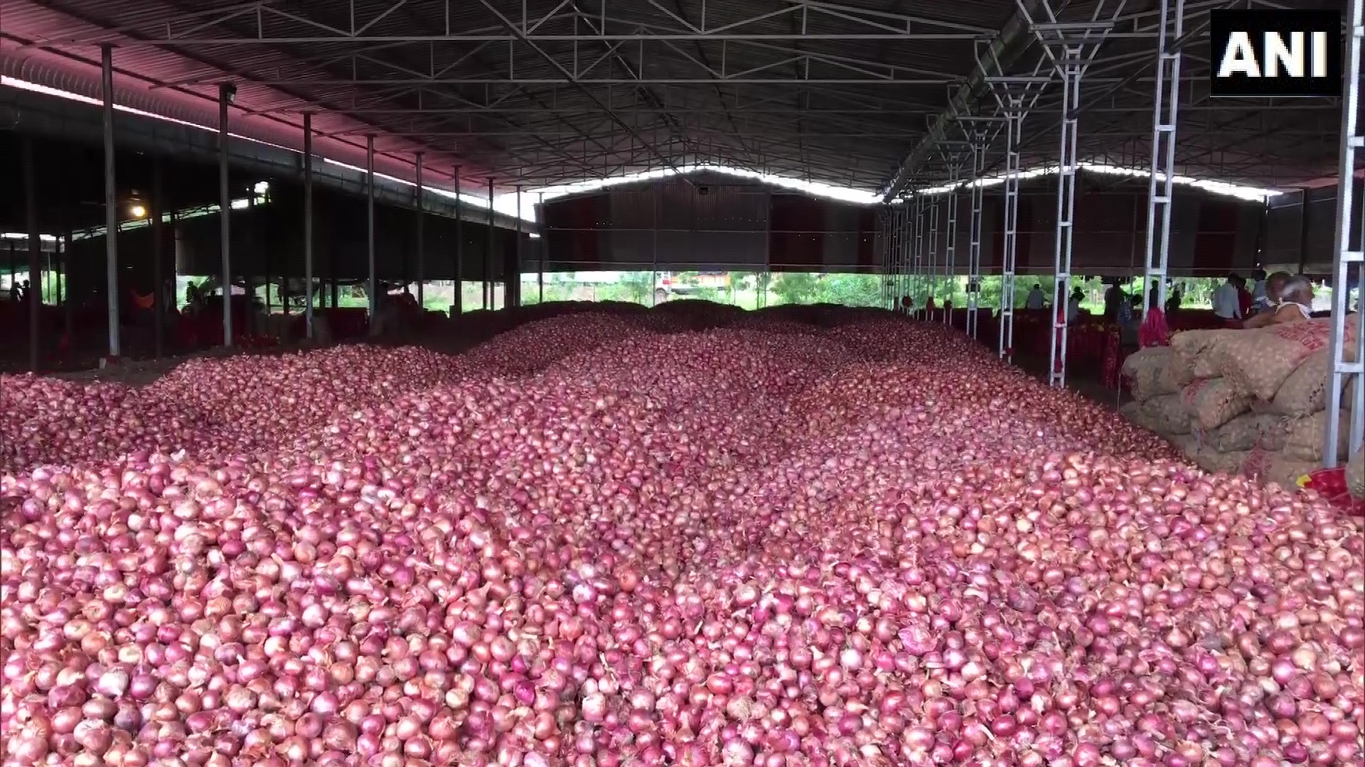 India exports over 45,000 tons of onion after Centre lifts ban