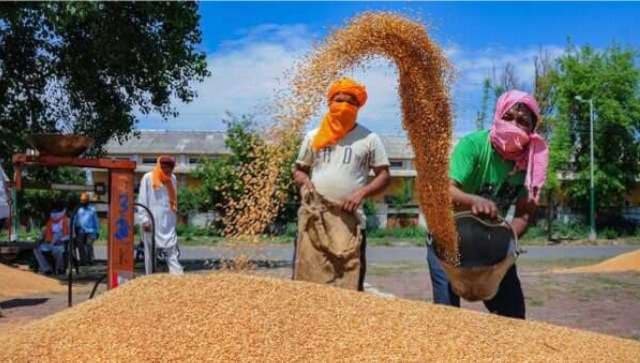 Govt move to extend free ration scheme sign of economic distress: Congress
