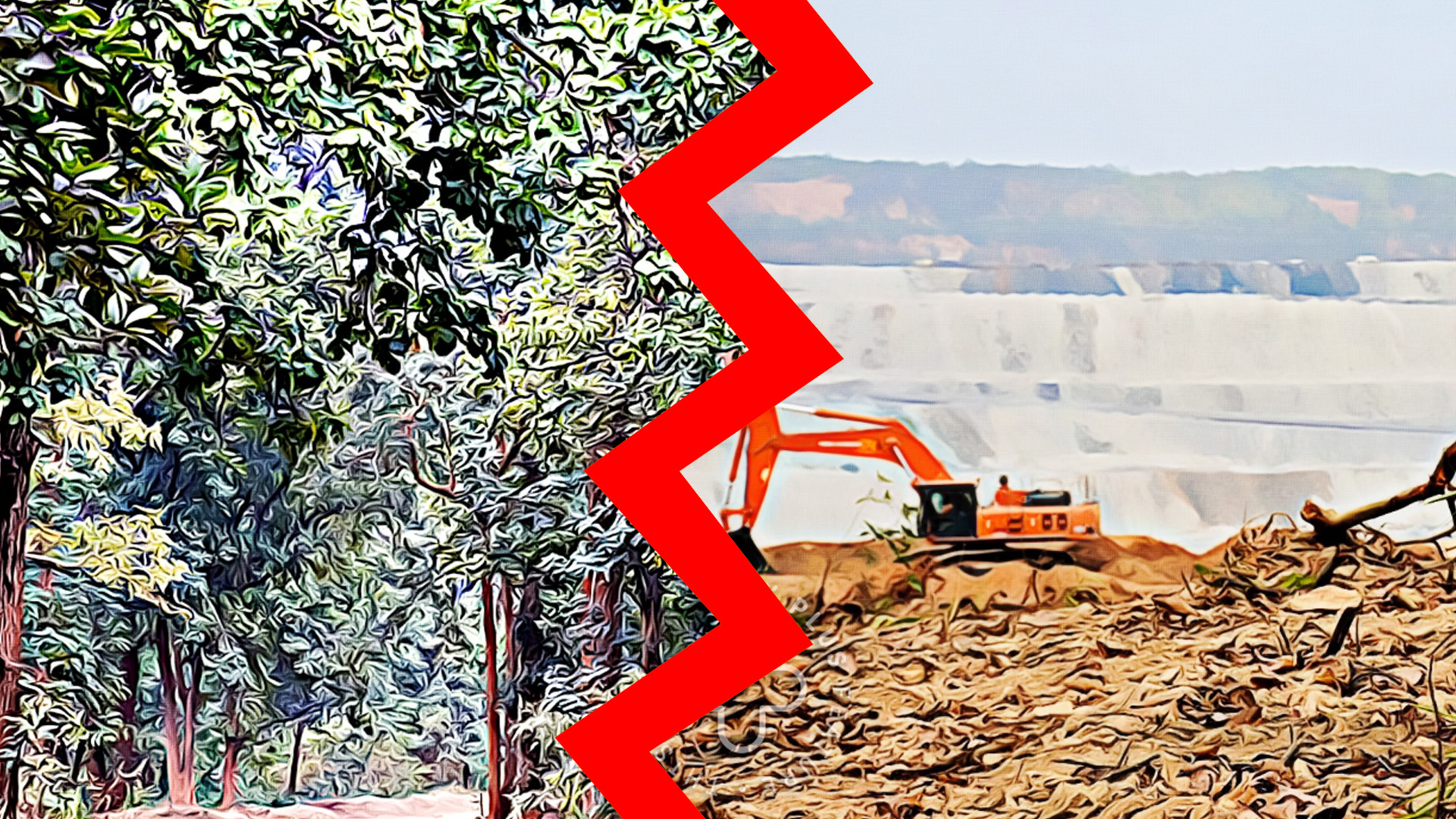 Why tribals of Chhattisgarh's Hasdeo Arand are up in arms against Adani, BJP