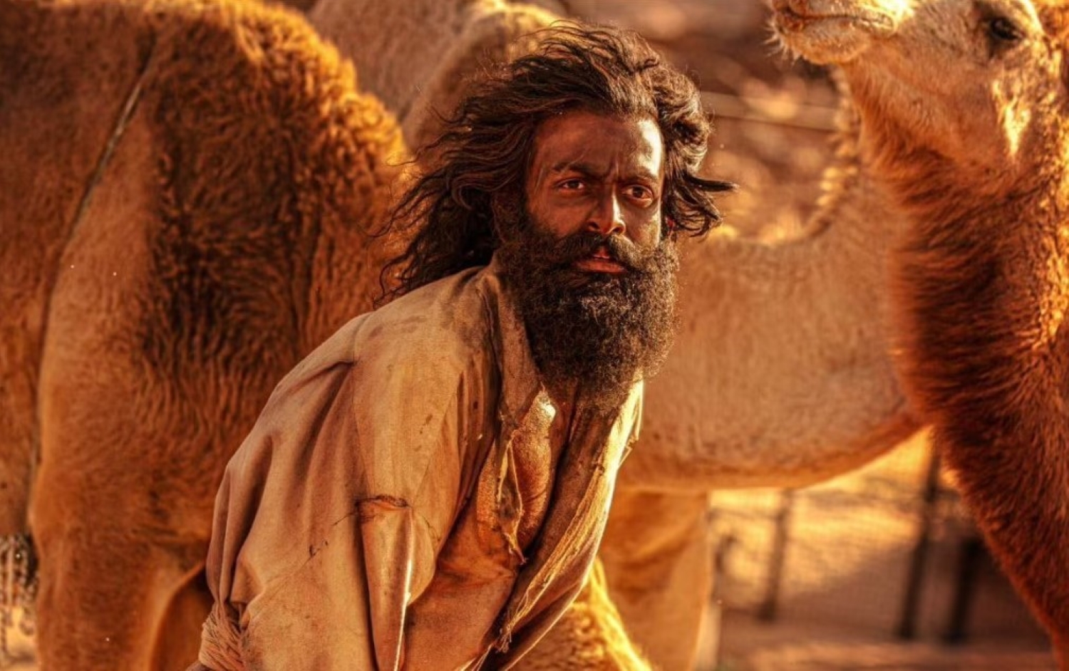 Aadujeevitham review: A survival drama, fuelled by high-octane performances