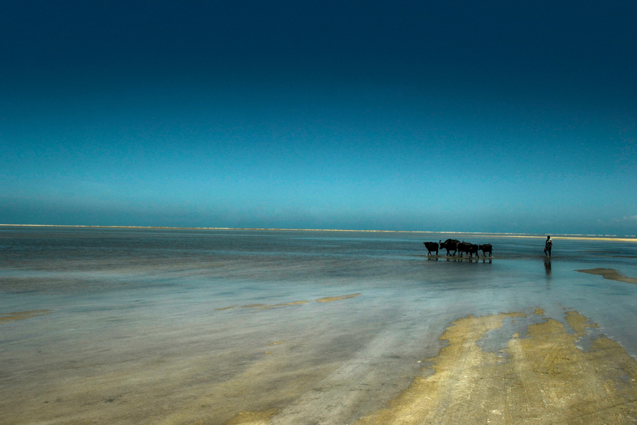 Explainer: What is the Katchatheevu Island row; will getting it back ...