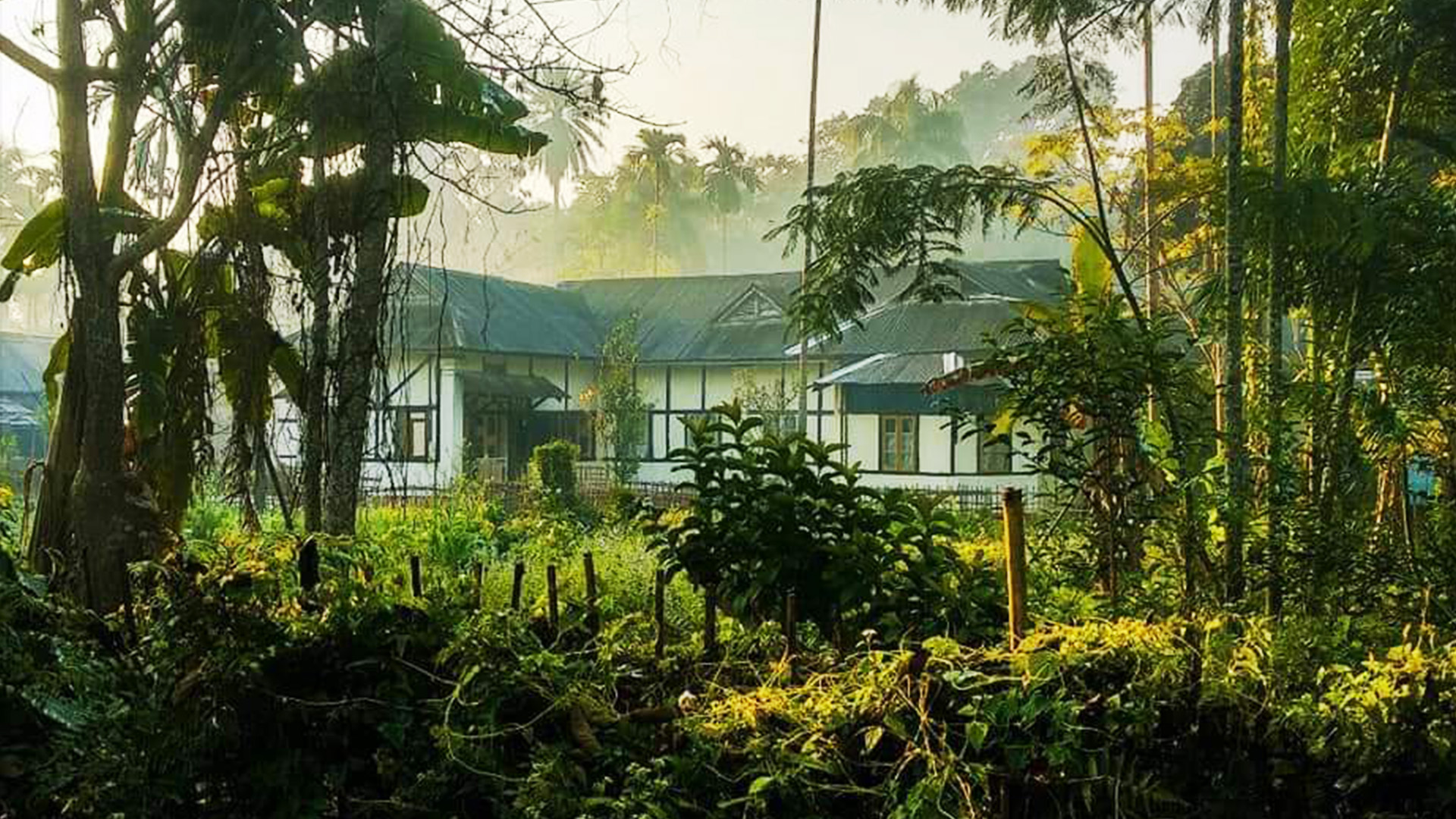 Why Assam-type houses that braved earthquakes are falling apart