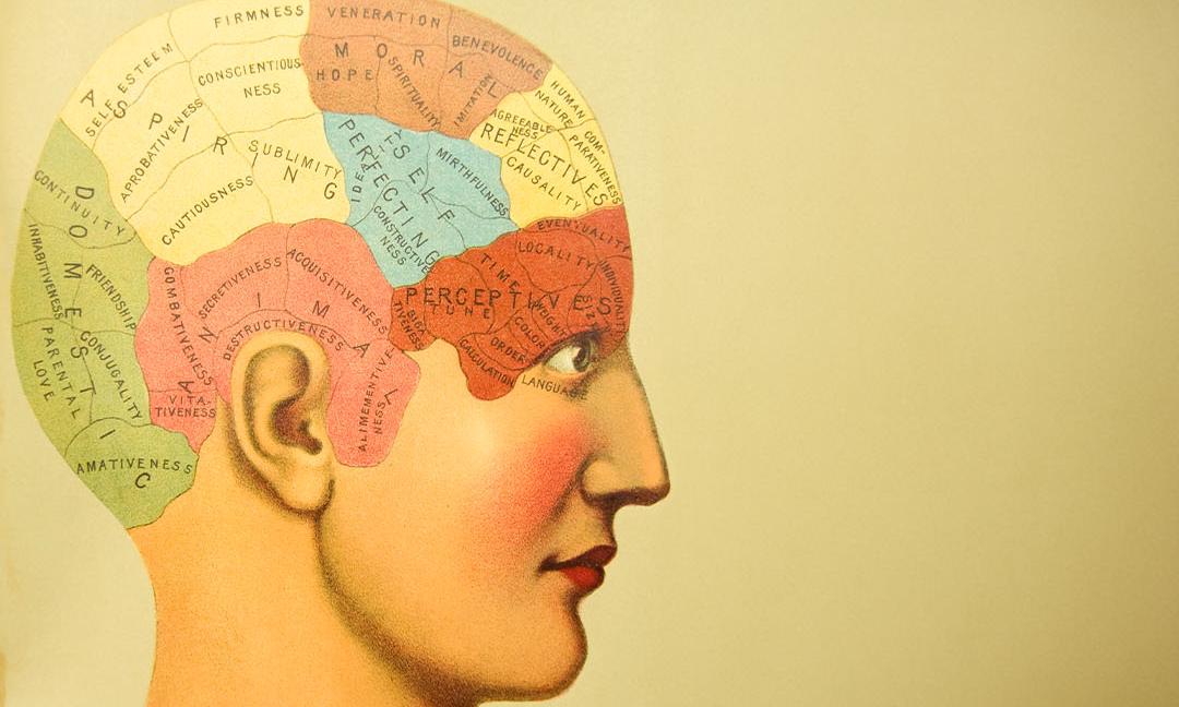 When people believed bumps in your head defined your personality