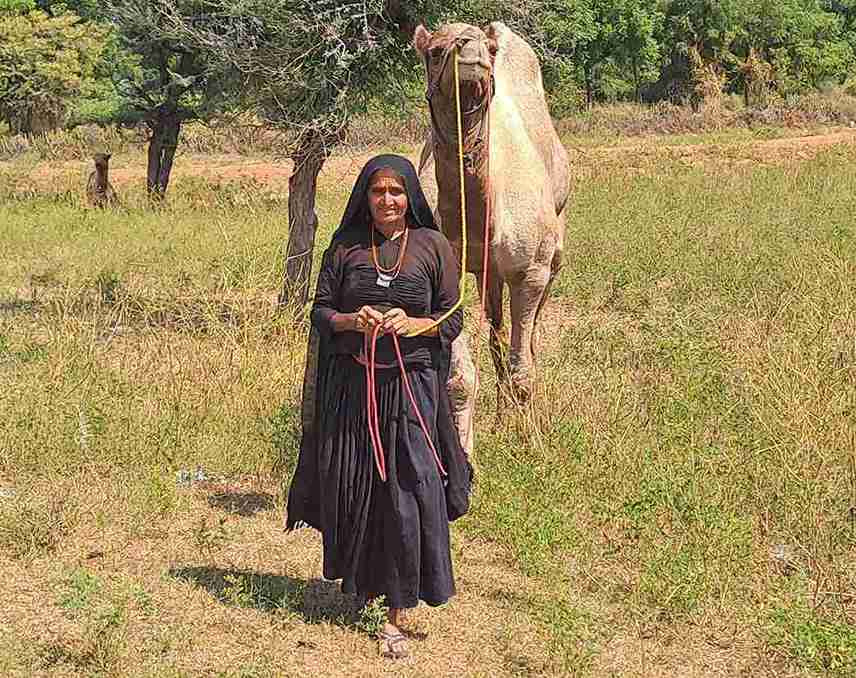 How Maldhari women are fighting family to co-own land in north Gujarat