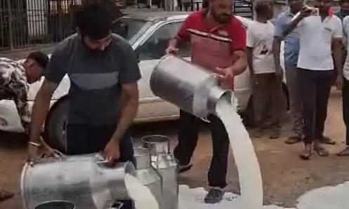 Sabar Dairy protest: Why Gujarat farmers are dumping milk on the streets