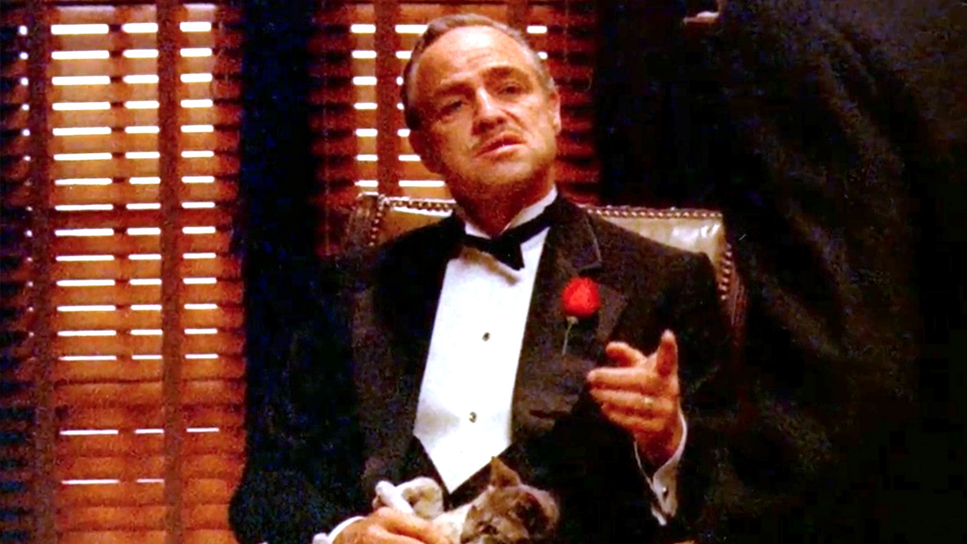 How Francis Ford Coppola’s The Godfather became a landmark saga in ...