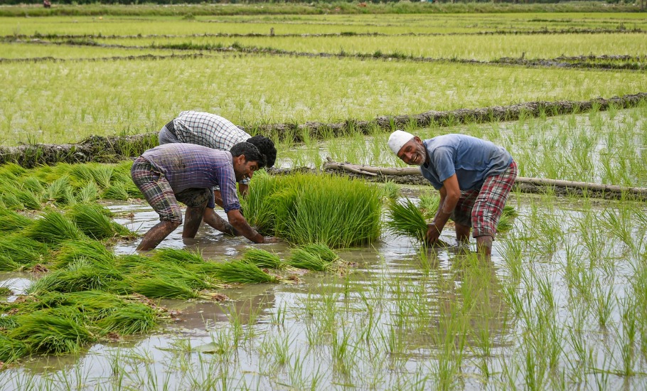 El Niño to hit 12 states; govt activates district-level kharif ...